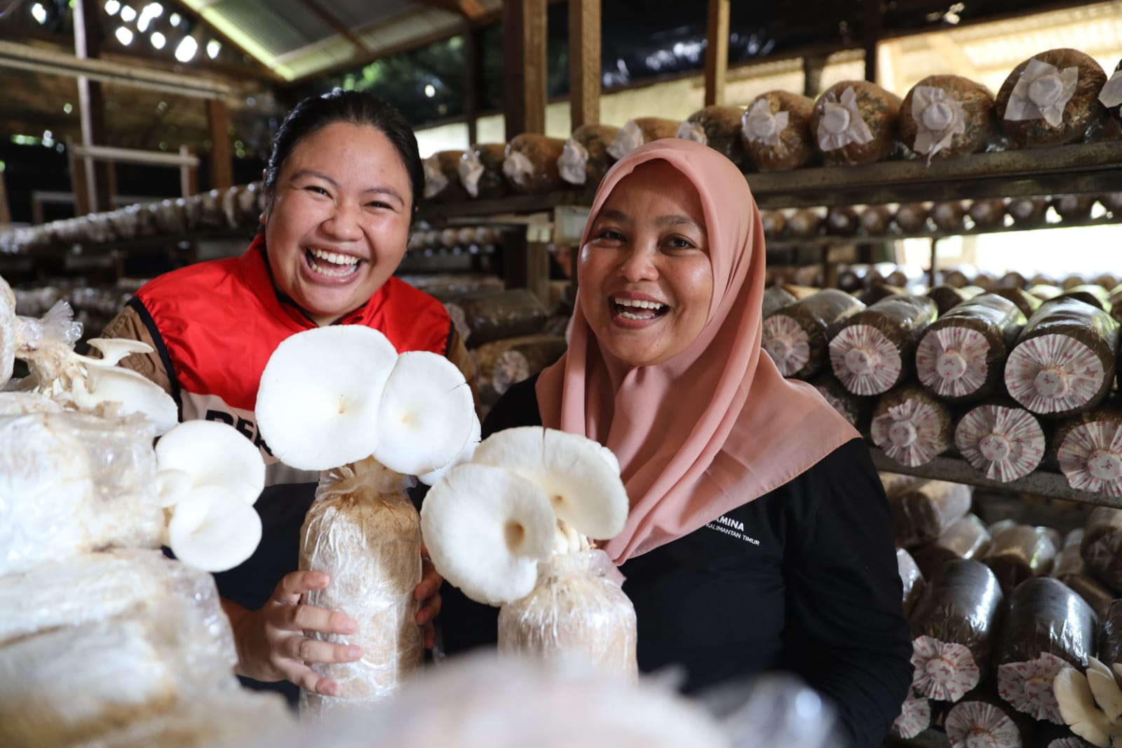 Industri Migas Tanah Air Tingkatkan Dampak Positif dengan Sinergi ...